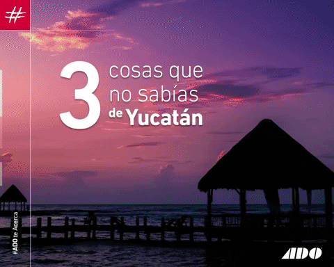 Yucatan GIFs - Get the best GIF on GIPHY