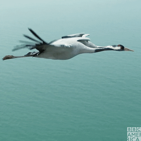 David Tennant Goodbye GIF by BBC America - Find & Share on GIPHY