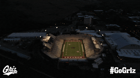 Football Stadium GIF by Montana Grizzlies - Find & Share on GIPHY