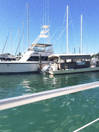 boat life | Tag | PrimoGIF