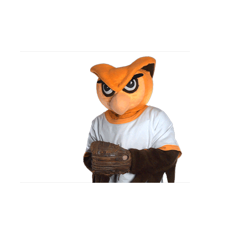 Ncaa Mascot Sticker by Rowan University for iOS & Android | GIPHY