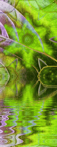 New Dimensions GIFs - Get the best GIF on GIPHY