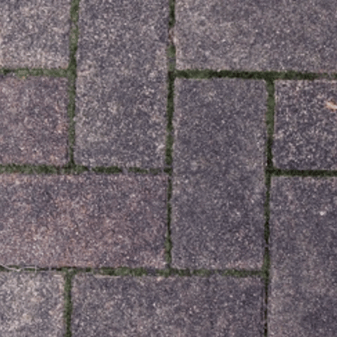 Pavers GIFs - Get the best GIF on GIPHY