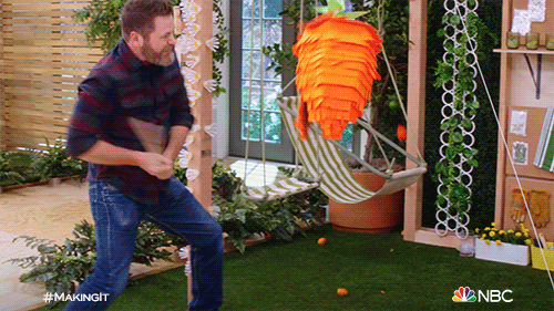 Aminals Pinata GIFs - Find & Share on GIPHY