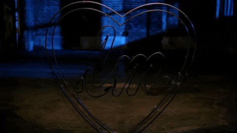Wings Dna GIF by Little Mix - Find & Share on GIPHY
