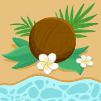 Coconut Animated