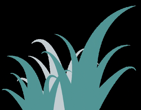 Grass GIF by Tuesday Management - Find & Share on GIPHY