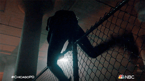 Run-along-fence GIFs - Get the best GIF on GIPHY