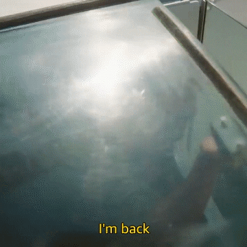 Inside Edge 2 GIFs - Get the best GIF on GIPHY