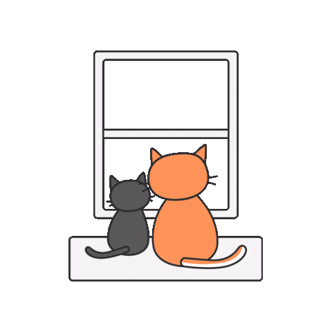 Cats Waiting Sticker for iOS & Android | GIPHY