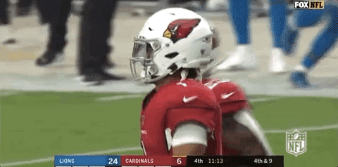 Arizona Cardinals Football GIF by NFL - Find & Share on GIPHY