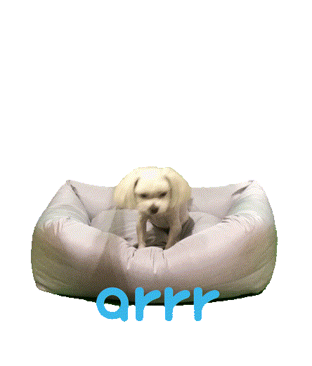 아르르 Sticker by arrr_official for iOS & Android | GIPHY