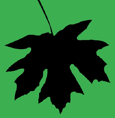 Peterman Lumber GIF - Find & Share on GIPHY
