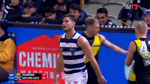 2019 AFL GIFs by AFL | GIPHY