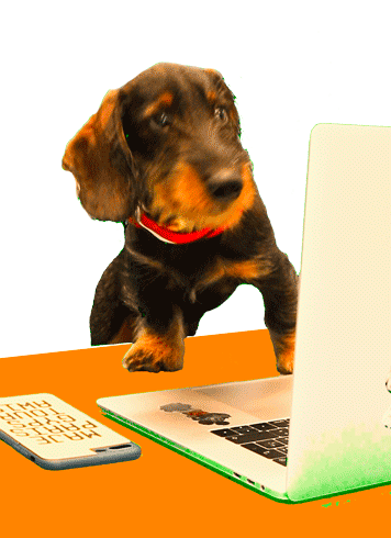 Dog Work Sticker by Maje Paris for iOS & Android | GIPHY