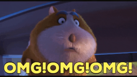 Omgomgomg GIFs - Get the best GIF on GIPHY