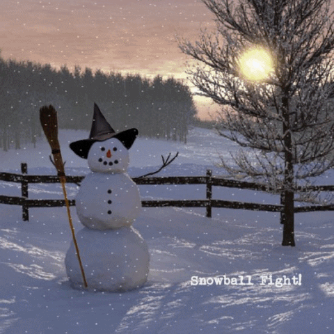 Snowball GIFs - Get the best GIF on GIPHY