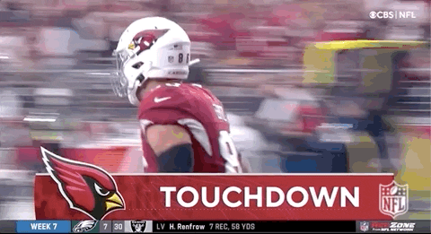 Arizona Cardinals Football GIF by NFL - Find & Share on GIPHY