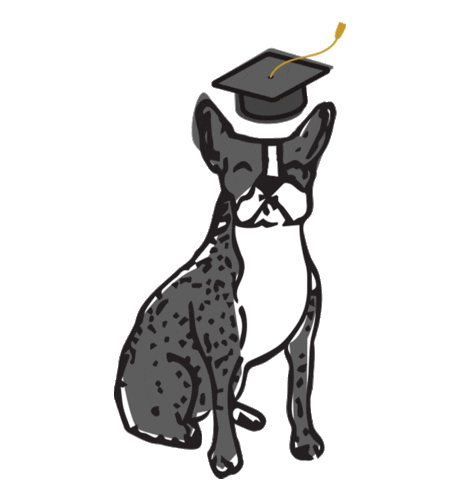 Commencement GIFs on GIPHY - Be Animated