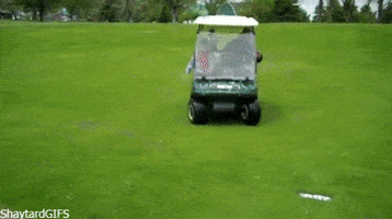 Beverage Cart GIFs - Get the best GIF on GIPHY