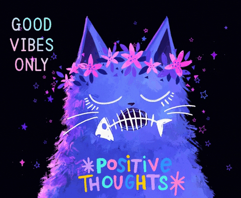 Cat Love GIF - Find & Share on GIPHY