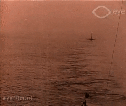 Atlantic Fleet GIFs - Get the best GIF on GIPHY