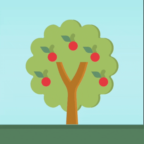 ciderzale GIF - Find & Share on GIPHY