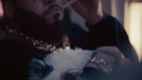 You-can-not-be-serious GIFs - Get the best GIF on GIPHY