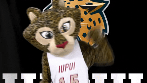 Iupui-mascot-2 GIFs - Get the best GIF on GIPHY