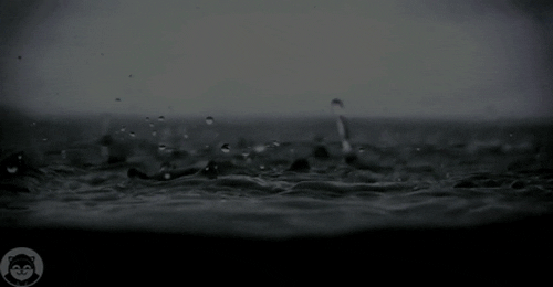 Weather GIF by Poncho - Find & Share on GIPHY