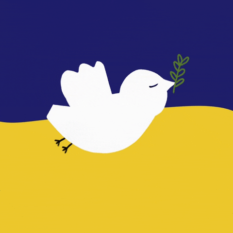 Vladimir-putin-pigeon GIFs - Get the best GIF on GIPHY