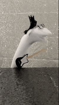 Alex Gaskarth Leg Thing Gif