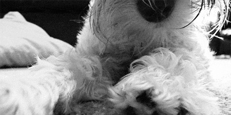 Ok Yeah Anyway GIFs - Get the best GIF on GIPHY