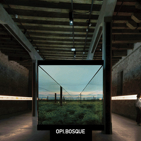 nuestro bambu GIFs on GIPHY - Be Animated