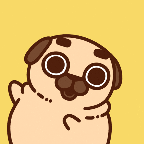 Puglie Pug GIFs on GIPHY - Be Animated