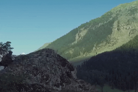 Kashmir Maahi GIF by Rahi - Find & Share on GIPHY
