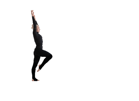 Flight Club GIFs on GIPHY - Be Animated