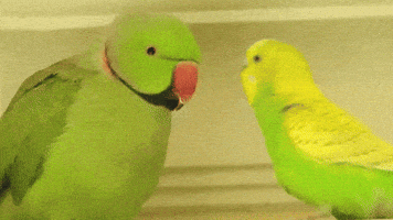 Foreplay GIFs - Find & Share on GIPHY