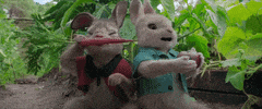 Peter Rabbit GIFs - Find & Share on GIPHY