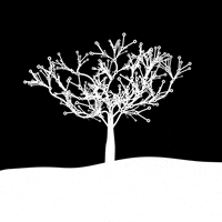 Tree Growing Gif