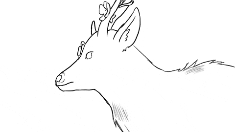 Elk Antler GIFs - Get the best GIF on GIPHY