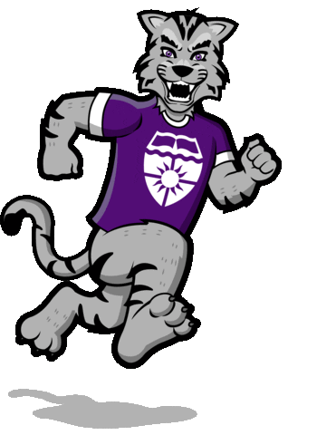 St. Thomas Alumni Sticker for iOS & Android | GIPHY