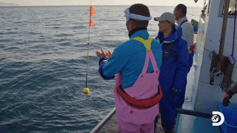 First Contact Alien Shark GIF by Shark Week - Find & Share on GIPHY