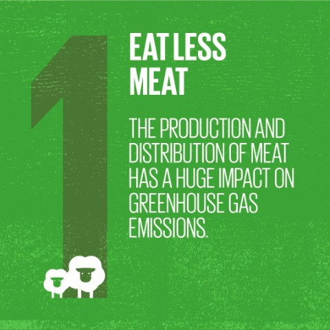 Less Meat GIFs - Get the best GIF on GIPHY