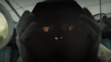 Out of Time GIFs on GIPHY - Be Animated