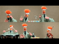 Beaker Muppet Gif