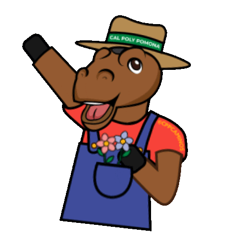 Project CAMINOs GIFs on GIPHY - Be Animated