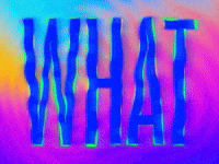 Wht GIFs - Get the best GIF on GIPHY