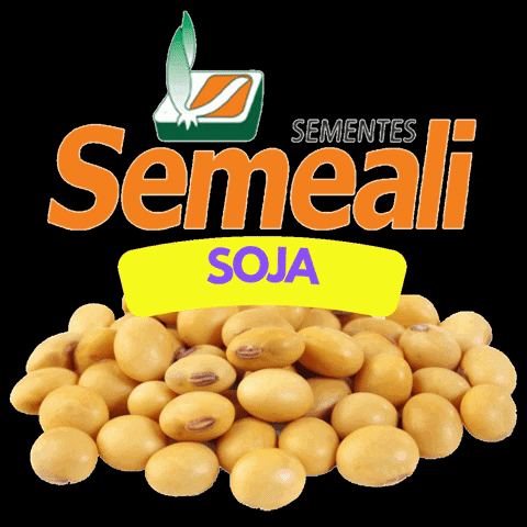 Sementes-soja GIFs - Get the best GIF on GIPHY