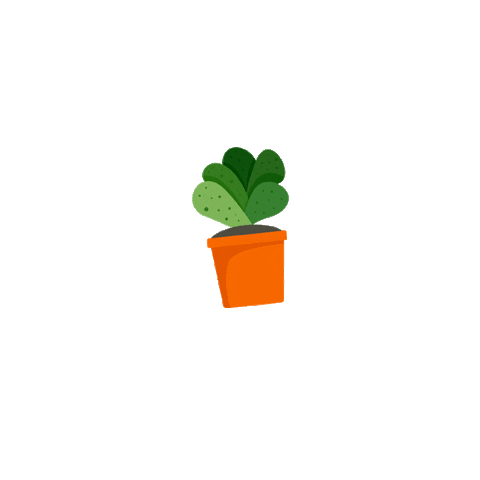 Plants Cactus Sticker by 1800flowers for iOS & Android | GIPHY